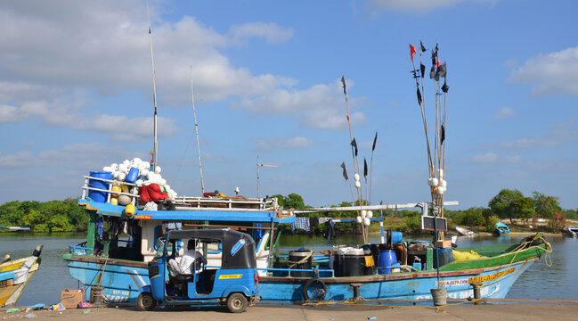 Faenar Bilder – Durchsuchen 369 Archivfotos, Vektorgrafiken und Videos ...