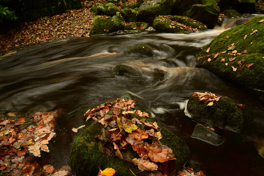 Burbage Images – Browse 332 Stock Photos, Vectors, and Video | Adobe Stock