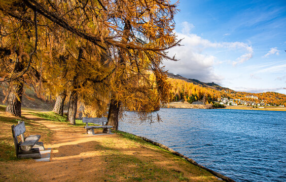 Champfer-Bilder: Stock-Fotos & -Videos. | Adobe Stock