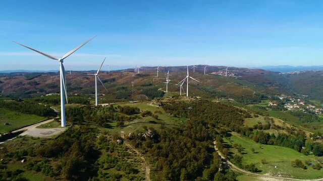 Fafe Images – Browse 487 Stock Photos, Vectors, and Video | Adobe Stock