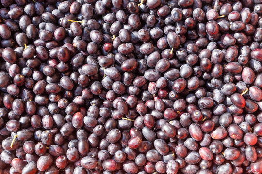 รูปภาพDeleafer – เลือกดูภาพถ่ายสต็อก เวกเตอร์ และวิดีโอ169 | Adobe Stock