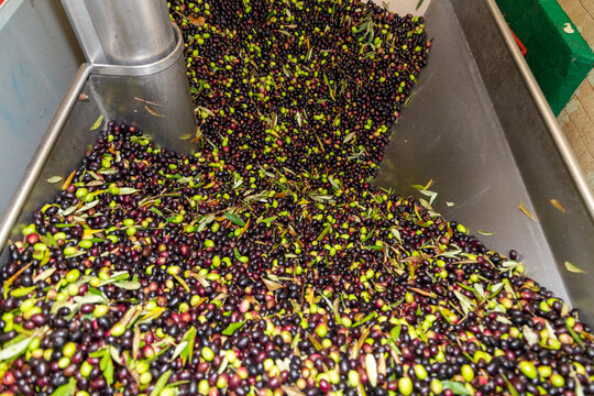 รูปภาพDeleafer – เลือกดูภาพถ่ายสต็อก เวกเตอร์ และวิดีโอ169 | Adobe Stock