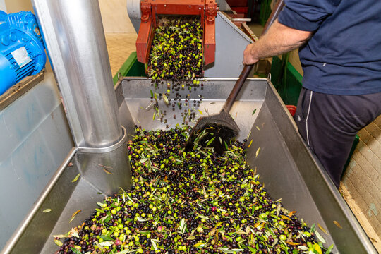 รูปภาพDeleafer – เลือกดูภาพถ่ายสต็อก เวกเตอร์ และวิดีโอ169 | Adobe Stock