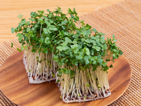 Broccoli-Sprossen Bilder – Durchsuchen 23,250 Archivfotos ...