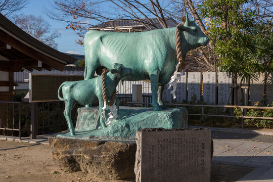 連 Images – Browse 989 Stock Photos, Vectors, and Video | Adobe Stock