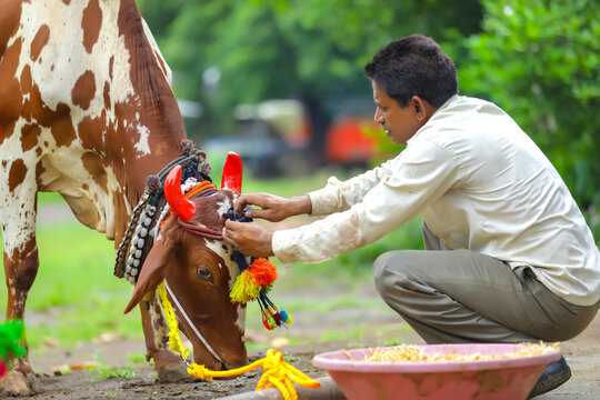 Polaa Bilder – Durchsuchen 118 Archivfotos, Vektorgrafiken und Videos ...