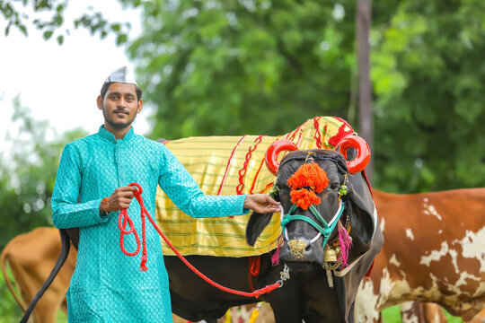 Polaa Bilder – Durchsuchen 118 Archivfotos, Vektorgrafiken und Videos ...