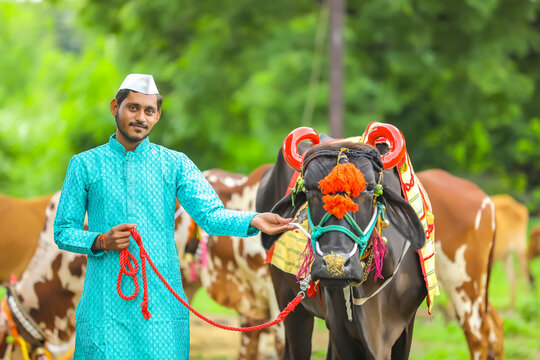 Polaa Bilder – Durchsuchen 118 Archivfotos, Vektorgrafiken und Videos ...