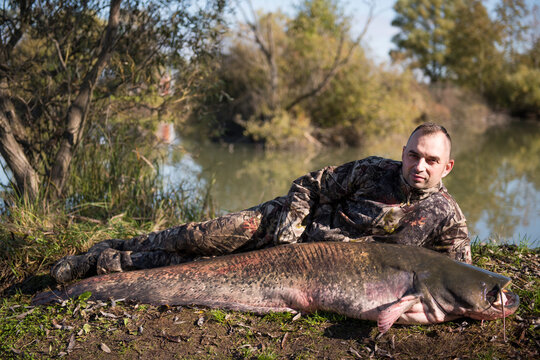รูปภาพSheat-Fish – เลือกดูภาพถ่ายสต็อก เวกเตอร์ และวิดีโอ1,958 | Adobe ...