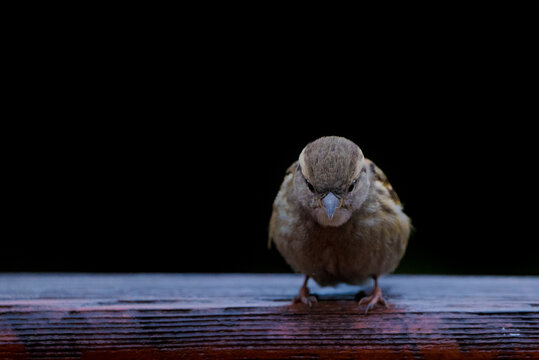 Reto photos, images, assets | Adobe Stock