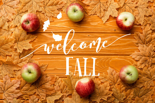 "Welcome Fall"-Bilder: Stock-Fotos & -Videos. | Adobe Stock