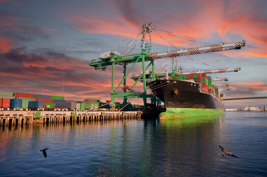 Containerkran bilder – Bläddra bland 3,230 stockfoton, vektorer och videor | Adobe Stock