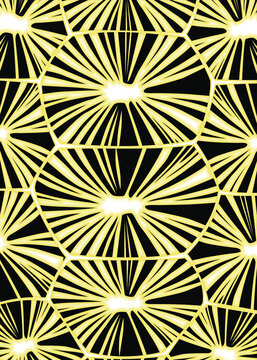 Imágenes de Sulcata: descubre bancos de fotos, ilustraciones, vectores ...