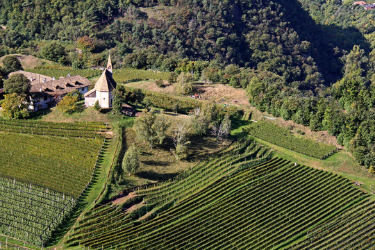 Imágenes de Maso: descubre bancos de fotos, ilustraciones, vectores y ...