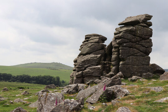 Baskerville Images – Browse 86 Stock Photos, Vectors, and Video | Adobe ...