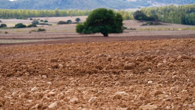 "Campo Arato" Images – Parcourir 200 le catalogue de photos, vecteurs ...