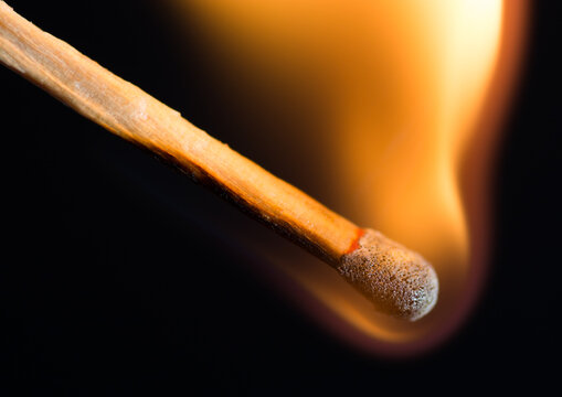 Brandwunde bilder – Bläddra bland 8,281 stockfoton, vektorer och videor ...