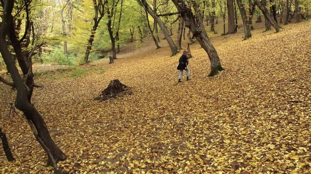 Hoia Billeder – Gennemse 408 stockfotos, vektorer og videoer | Adobe Stock