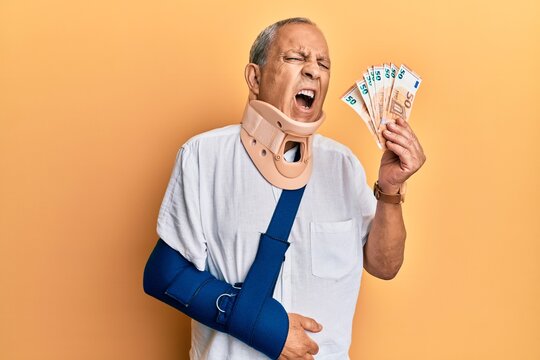 "Colla Bilder – Durchsuchen 1,215 Archivfotos, Vektorgrafiken und ...