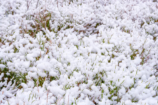 "New Snow" Images – Browse 322 Stock Photos, Vectors, and Video | Adobe ...