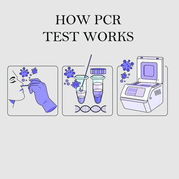 DIE 22,246 BESTEN BILDER, STOCK-FOTOS UND -VEKTORGRAFIKEN ZU „Pcr ...