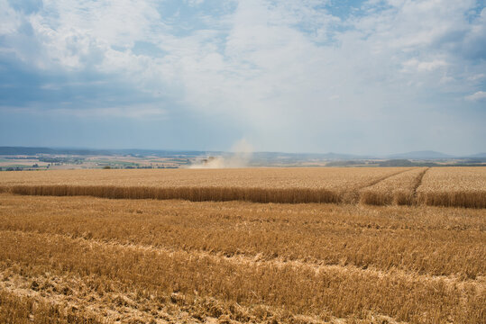 รูปภาพStoppel – เลือกดูภาพถ่ายสต็อก เวกเตอร์ และวิดีโอ2,381 | Adobe Stock