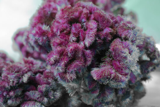 Inhospitable Bilder – Durchsuchen 111,728 Archivfotos, Vektorgrafiken ...