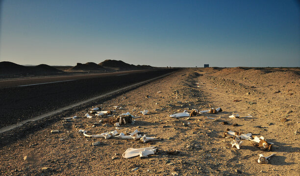 รูปภาพZnco3 – เลือกดูภาพถ่ายสต็อก เวกเตอร์ และวิดีโอ381 | Adobe Stock