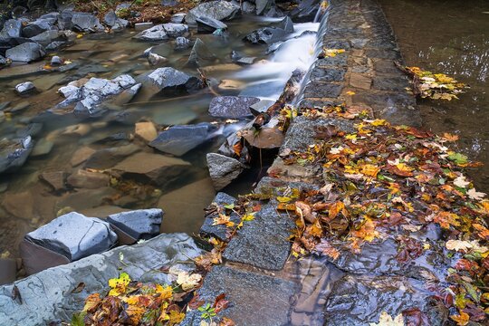 รูปภาพWier – เลือกดูภาพถ่ายสต็อก เวกเตอร์ และวิดีโอ432 | Adobe Stock