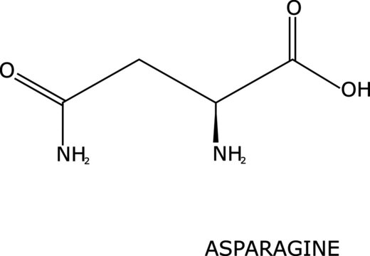 รูปภาพAsparagin – เลือกดูภาพถ่ายสต็อก เวกเตอร์ และวิดีโอ1,490 | Adobe Stock