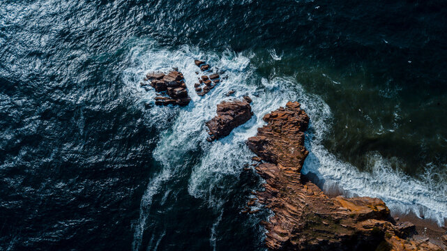 Turkey Transparent Background Images – Browse 7,088 Stock Photos ...