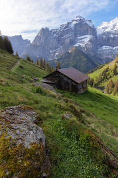 Seeli Bilder – Durchsuchen 182 Archivfotos, Vektorgrafiken und Videos ...