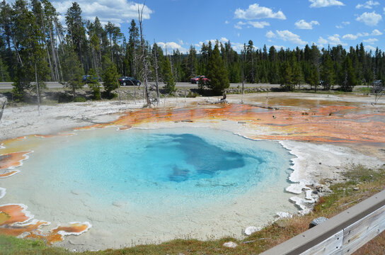 Wasserleiche Bilder – Durchsuchen 72,400 Archivfotos, Vektorgrafiken ...
