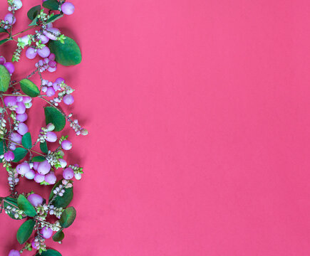 Ghostberry Bilder – Durchsuchen 5,637 Archivfotos, Vektorgrafiken und ...