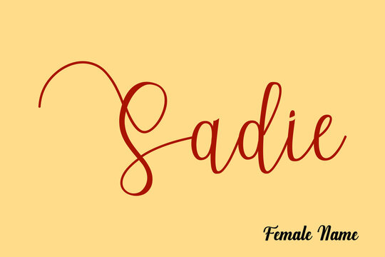 「Sady」の写真素材 | 1,135件の無料イラスト画像 | Adobe Stock