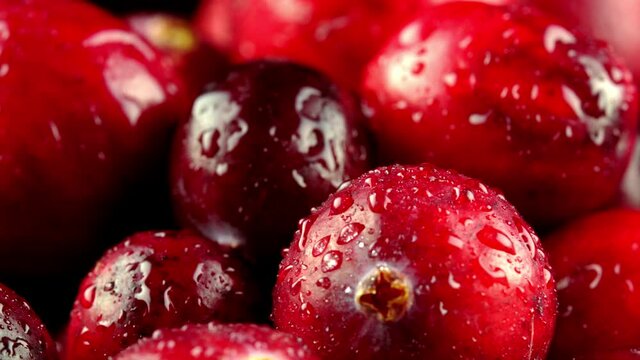 Foxberry Imagens – Procure 55,915 fotos, vetores e vídeos | Adobe Stock