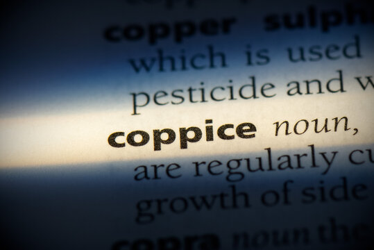 Coppice Images – Browse 168,064 Stock Photos, Vectors, and Video ...