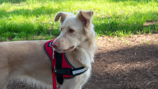 รูปภาพBisogni – เลือกดูภาพถ่ายสต็อก เวกเตอร์ และวิดีโอ114 | Adobe Stock