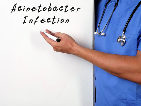 รูปภาพAcinetobacter – เลือกดูภาพถ่ายสต็อก เวกเตอร์ และวิดีโอ456 | Adobe ...