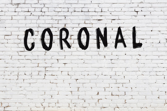 รูปภาพCoronal – เลือกดูภาพถ่ายสต็อก เวกเตอร์ และวิดีโอ5,962 | Adobe Stock