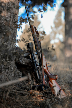 "Hunting Rifle" Images – Browse 324,789 Stock Photos, Vectors, and ...