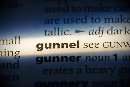 Gunnel Images – Browse 150 Stock Photos, Vectors, and Video | Adobe Stock