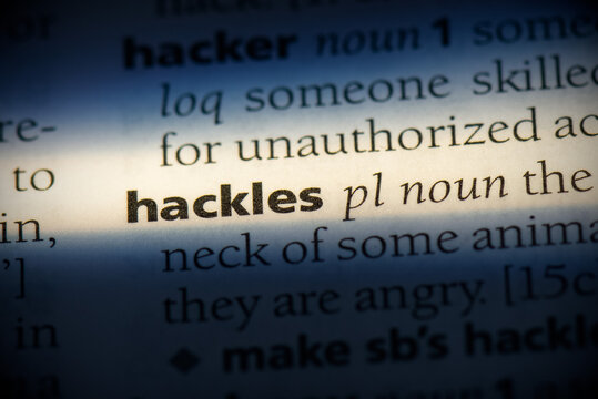 Hackl Bilder – Durchsuchen 5,393 Archivfotos, Vektorgrafiken und Videos ...