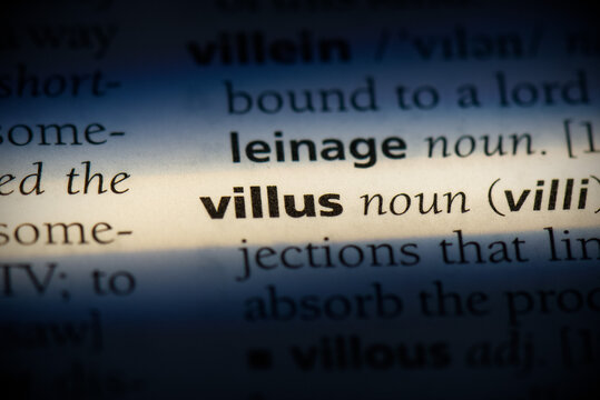 Villus Imagens – Procure 3,923 fotos, vetores e vídeos | Adobe Stock