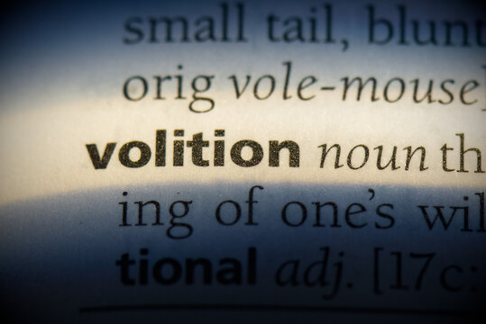 Volition Images – Parcourir 9,686 le catalogue de photos, vecteurs et ...