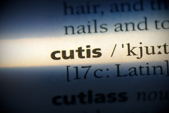 Haute-Definition Bilder – Durchsuchen 2,624 Archivfotos, Vektorgrafiken ...