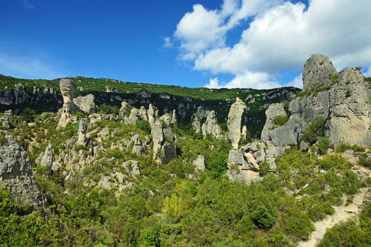 Cahot Images – Browse 35 Stock Photos, Vectors, and Video | Adobe Stock