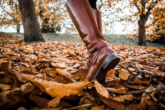 Afbeeldingen over "Riding Boots" – Blader in stockfoto's, vectoren en ...