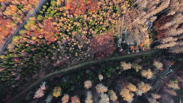 Weging Bilder – Durchsuchen 2,407 Archivfotos, Vektorgrafiken und ...