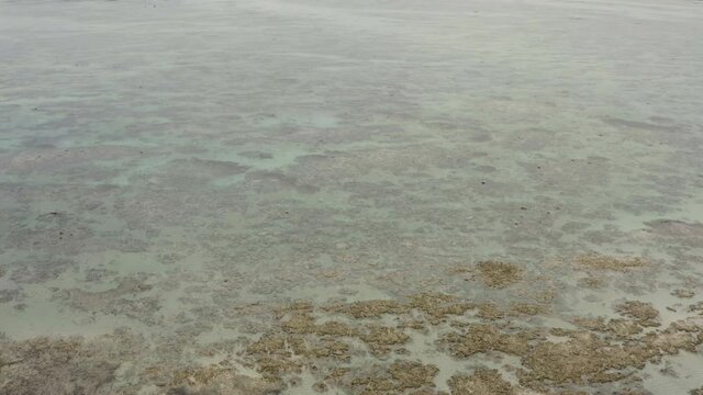 Algae Plantation Images – Browse 1,149 Stock Photos, Vectors, and Video ...